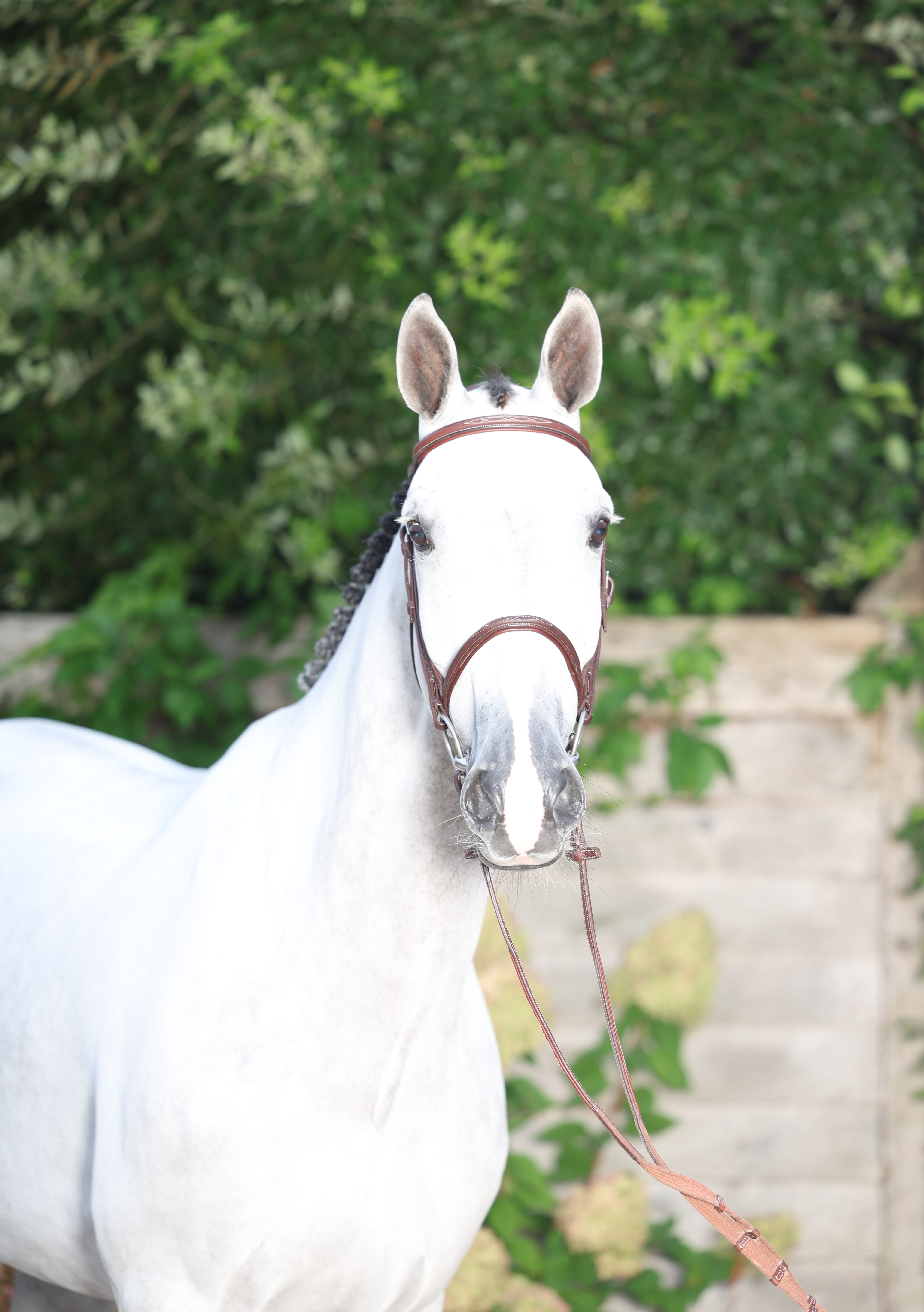 5. CHIC CHAC | Holger Hetzel